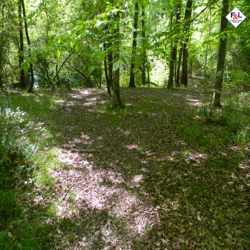 Farms and Land Realty :: Moore County, NC, 30 Acres, Spies Road