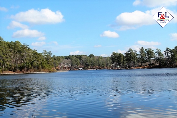 Farms and Land Realty :: Richmond County, NC, 37 Acres, Ledbetter Road